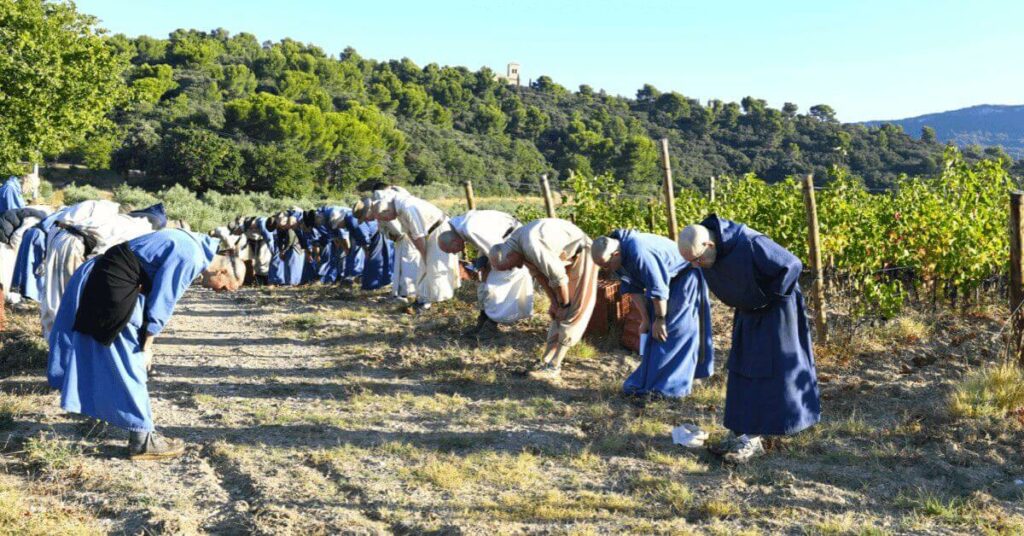 Pourquoi les moines travaillent-ils ? - Divine Box