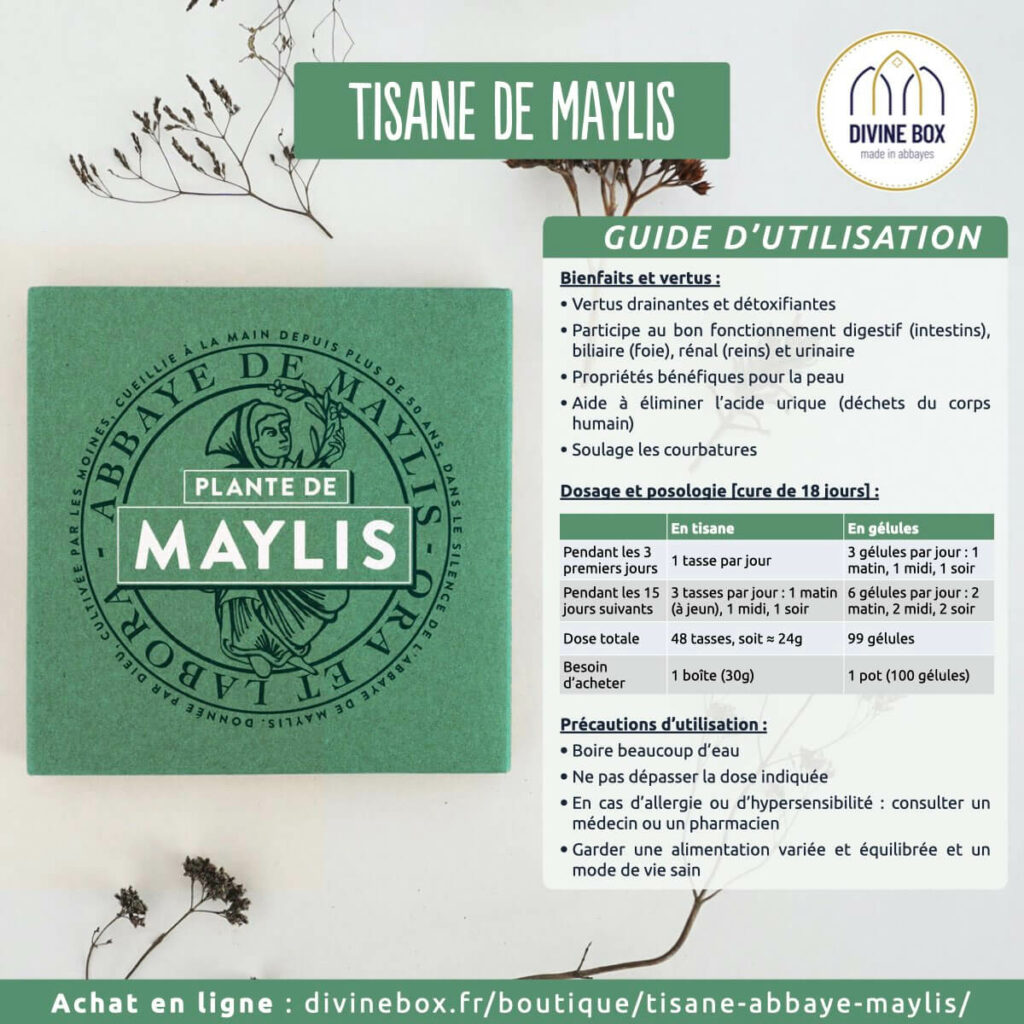 Plante de Maylis (gélules) - Abbaye ND de Maylis - Divine Box